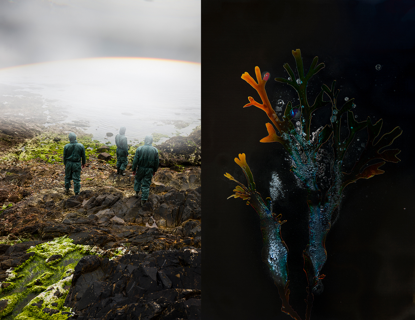 Maison des arts de Créteil - Sarah Braeck Alice Pallot Laetitia Ky ...